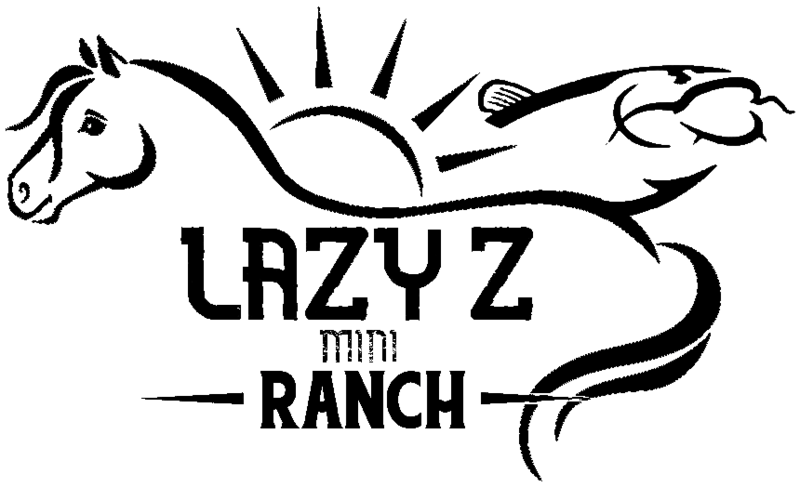 Lazy Z Mini Ranch | Scheduling and Booking Website